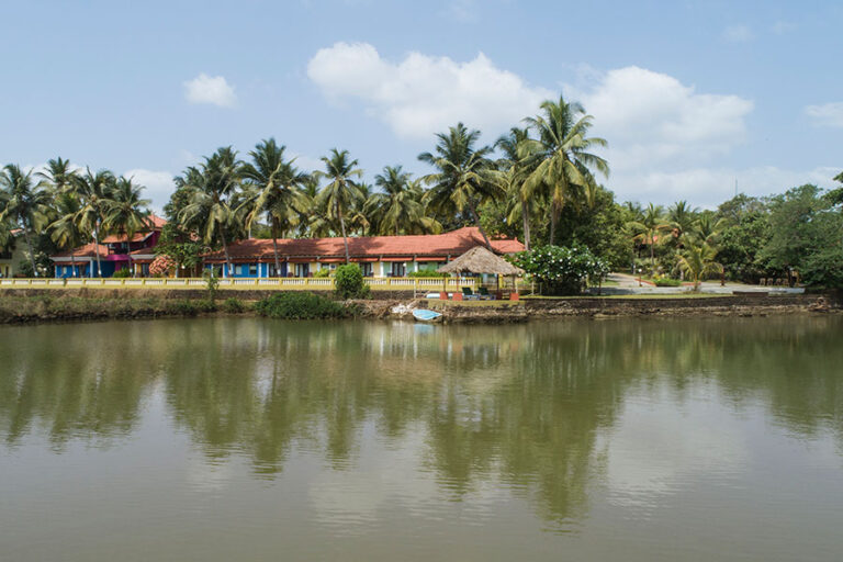 Top 50 Budget Resort in Goa for Team outing and corporate events ...